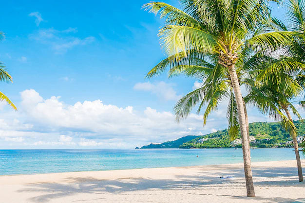 How to Prepare for the Perfect Beach Day! – beachpeoplestudio